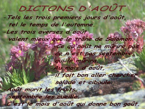 proverbes et dictons - Page 4